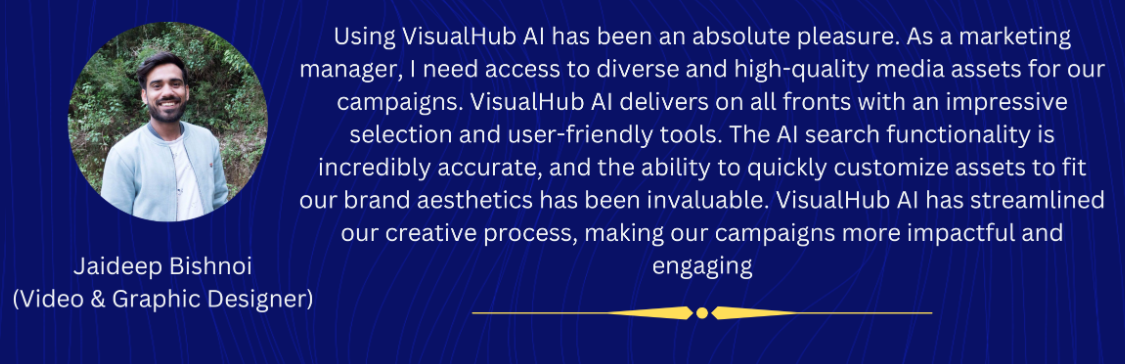 VisualHub AI Review - Biggest Stock Image & Video Platform With Zero ...